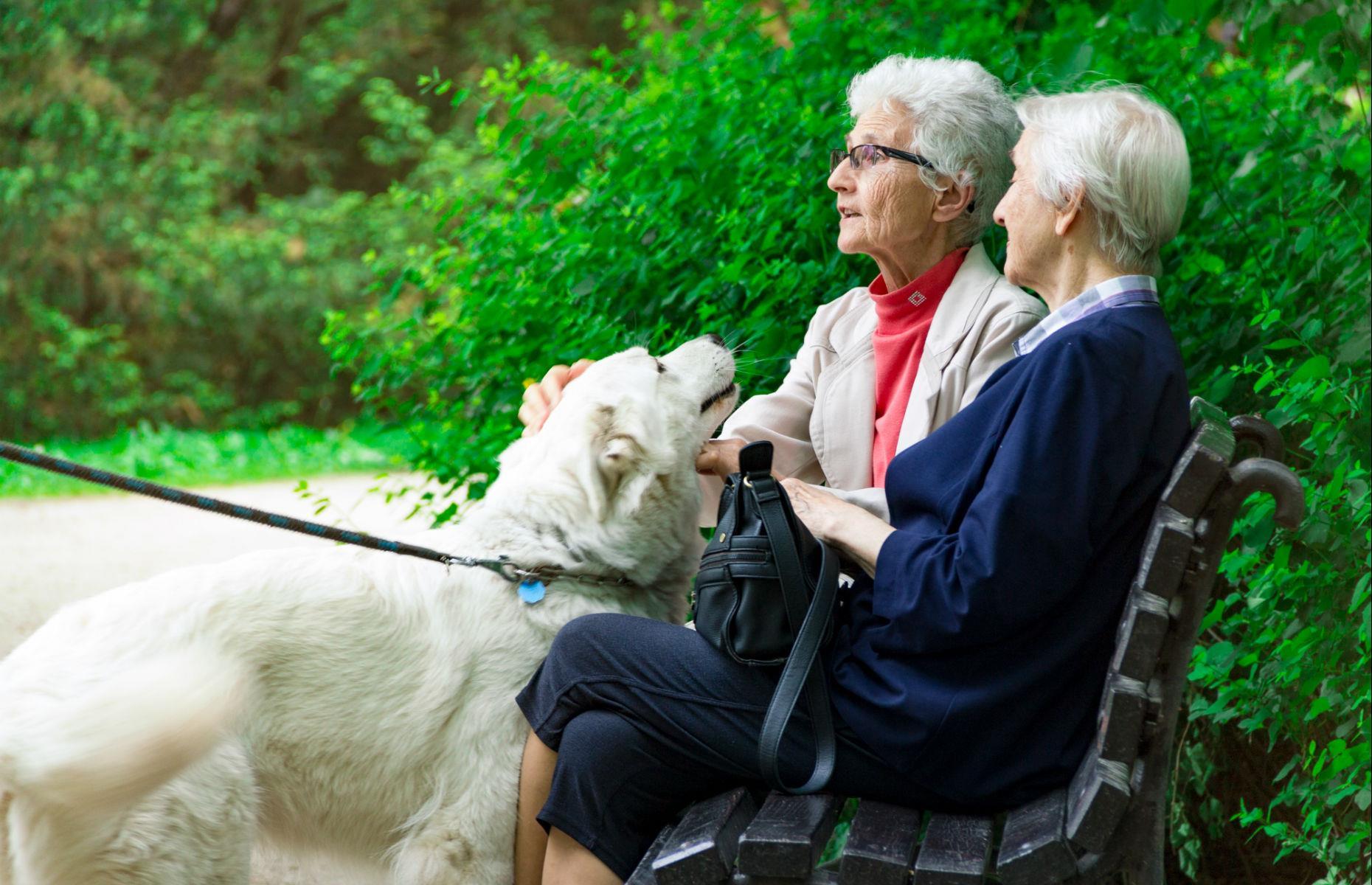 Real Retirement Ages Around The World Revealed Lovemoney
